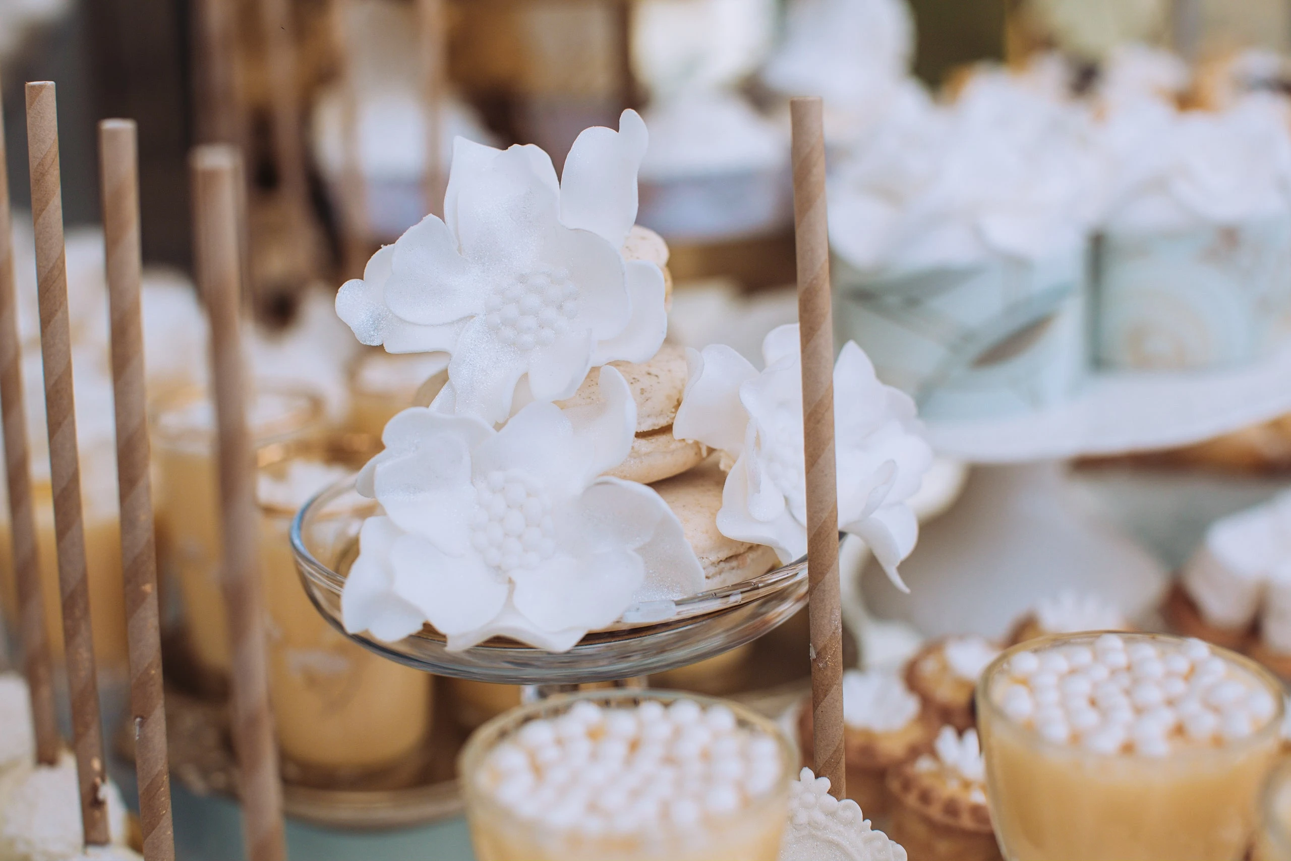 CANDY BAR DESIGN WHITE